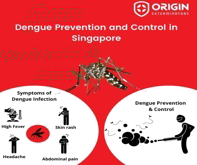 How to Prevent Dengue from Spreading?