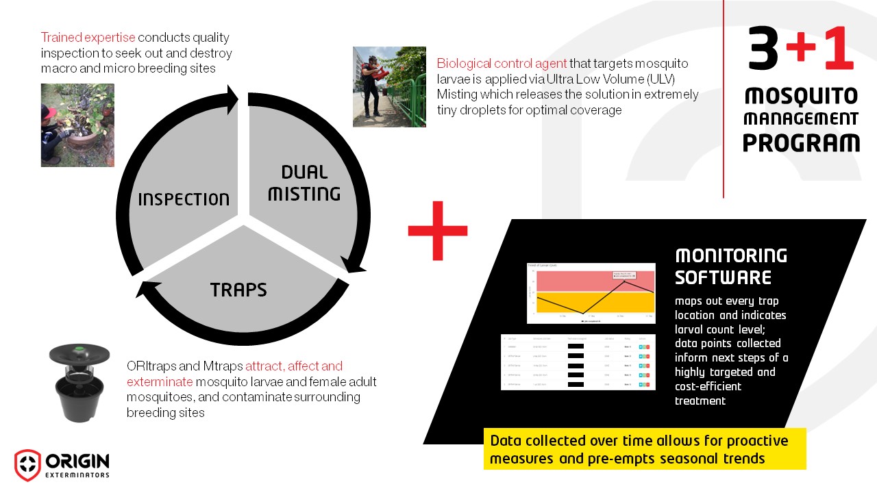 Know About Mosquitoes and Dengue in Singapore