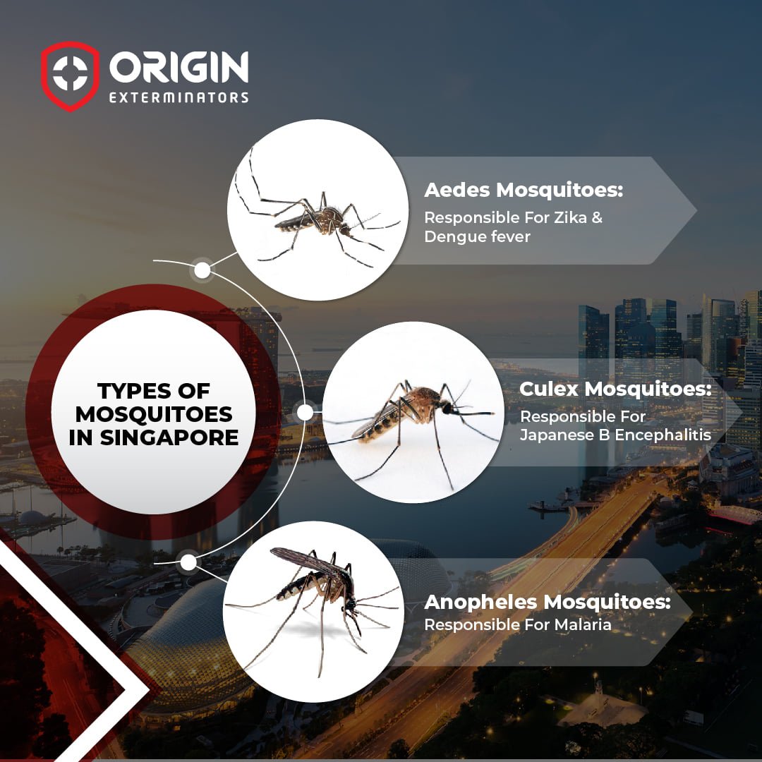 The Ultimate Guide to Mosquito Control